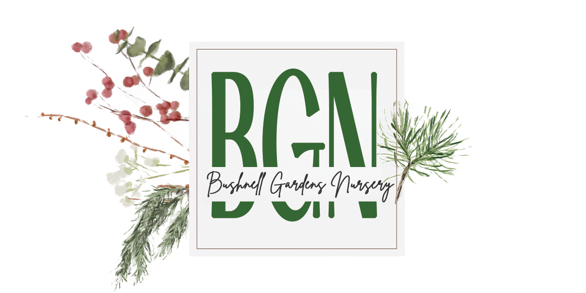 Premium Plants, Trees & Home Décor in Granite Bay | Bushnell Gardens ...